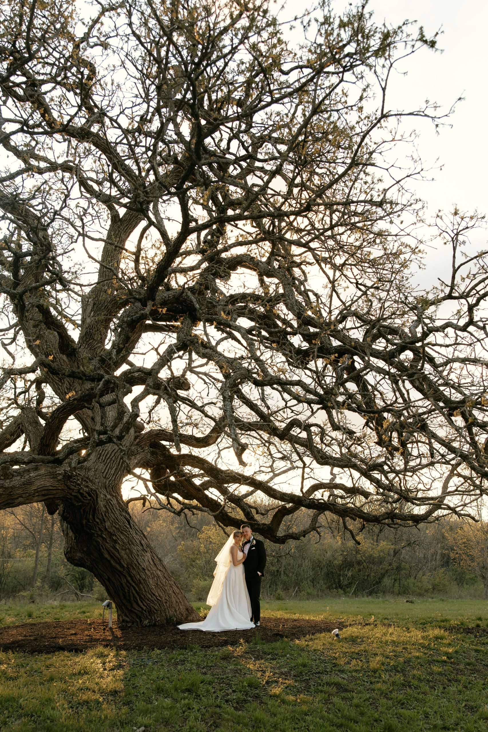 BE8A2388 - Chicago Style Weddings